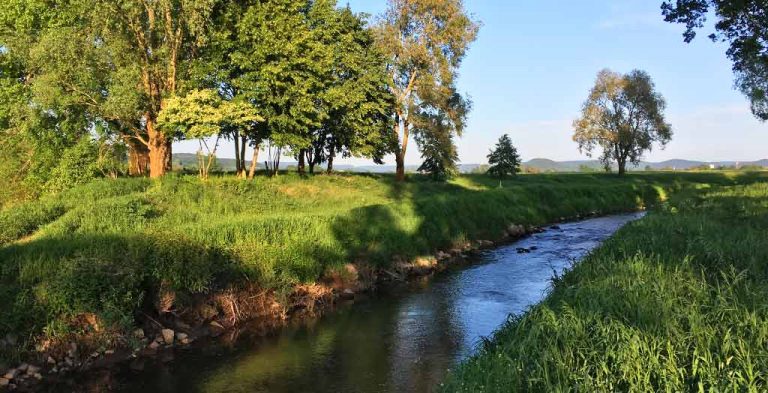 Exklusive Erlaubnisschein für den Abschnitt der Wehre des ...
